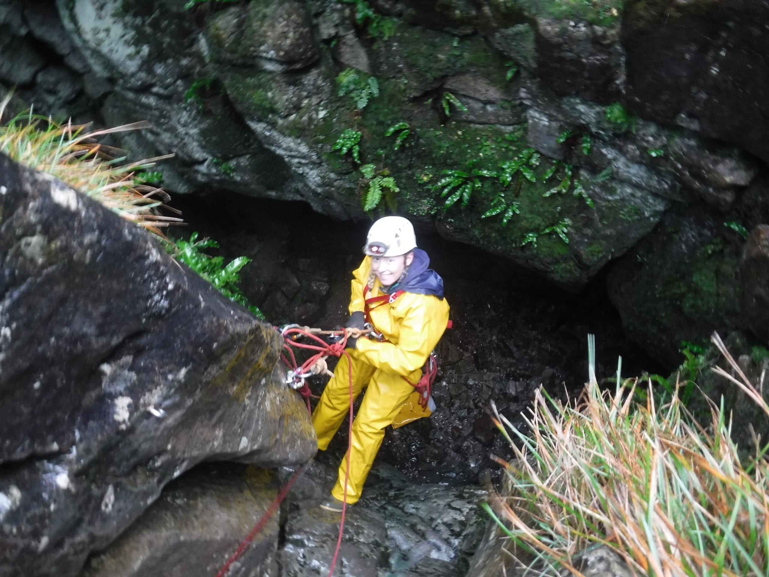 Developing & Coaching